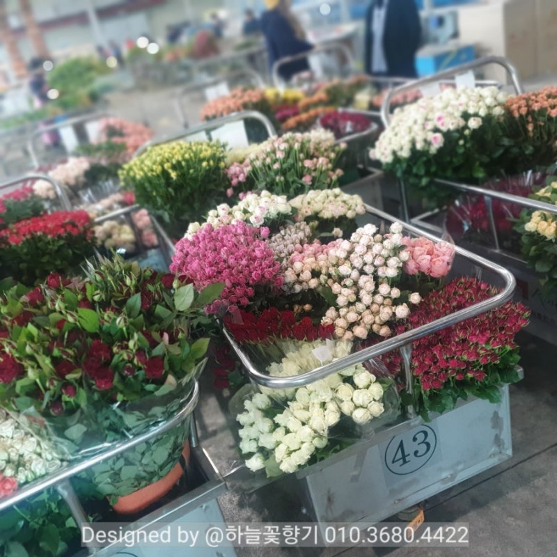전주 완주 이서 꽃배달 교육수료 지방자치인재개발원 승급 승진 리더과정 축하 꽃다발 꽃바구니 꽃주문 무료배송 꽃집 하늘꽃향기