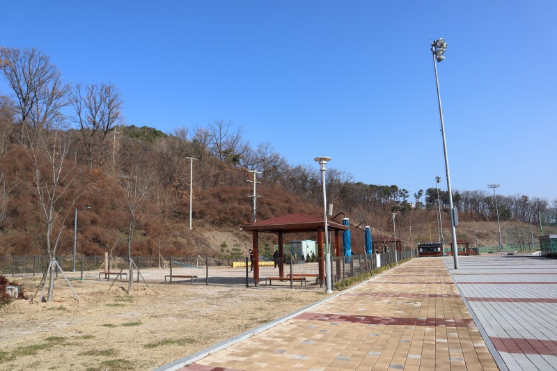 이충문화체육센터 이충레포츠공원 수영장 이용후기 가격대비 매우만족 네이버 블로그