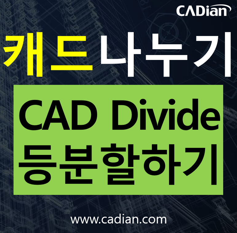 캐디안 Cadian 오토캐드 선 나누기 Divide Measure Ddptype 네이버 블로그