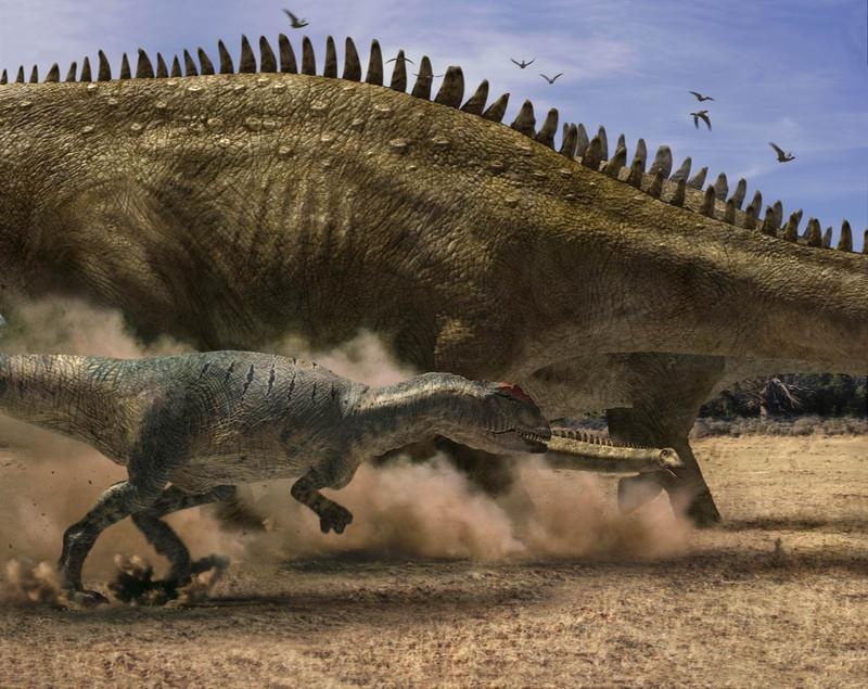 T rex vs Diplodocus : 네이버 블로그