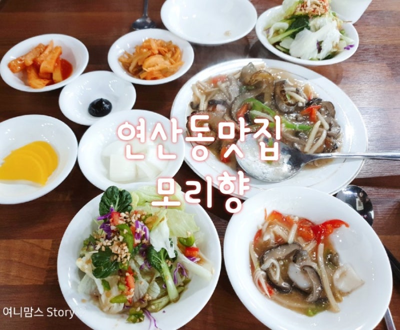 부산 연제구 맛집 모리향 깔끔한 중식코스요리 점심특선 점심메뉴 중국집 네이버 블로그