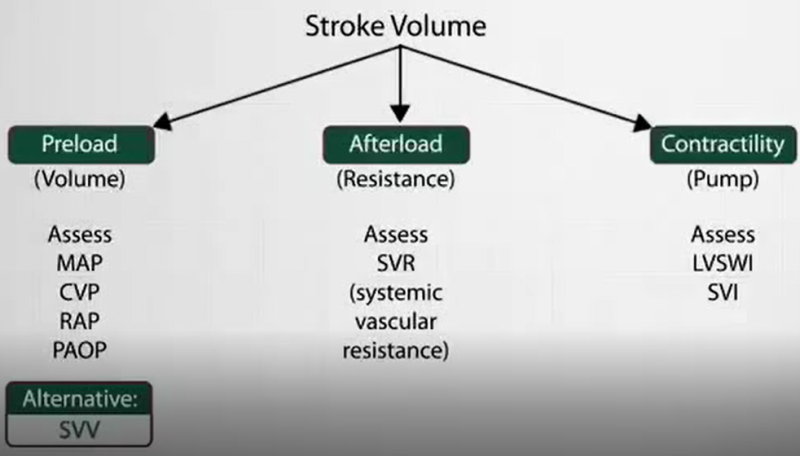 심장flow의 parameter. EV1000 - FloTrac sensor : 네이버 블로그