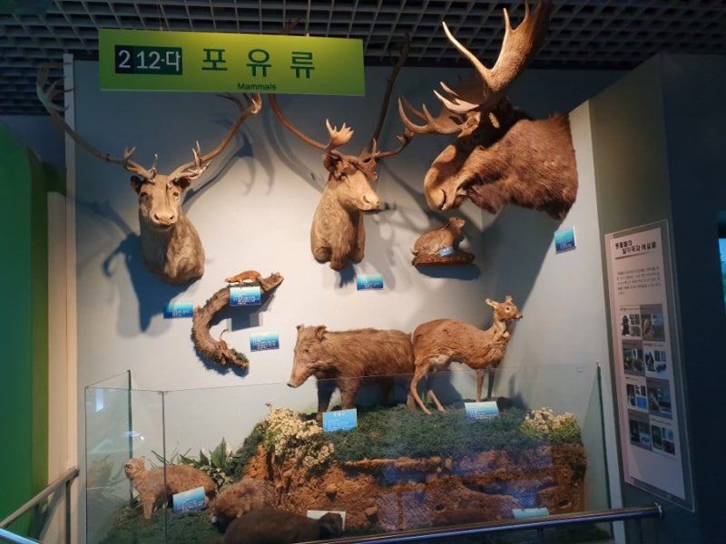 영종도 아이와 가볼만한곳 인천학생과학관 무료체험 네이버 블로그