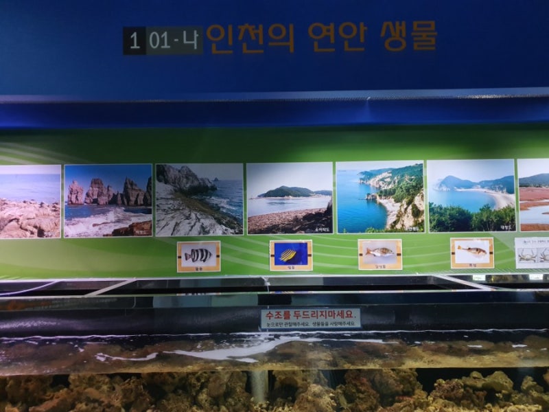 영종도 아이와 가볼만한곳 인천학생과학관 무료체험 네이버 블로그