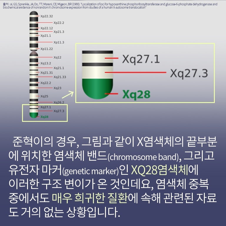 [MBC 나눔 서포터즈] 나누면 행복 447화 카드뉴스 (XQ28 염색체 중복?) : 네이버 블로그