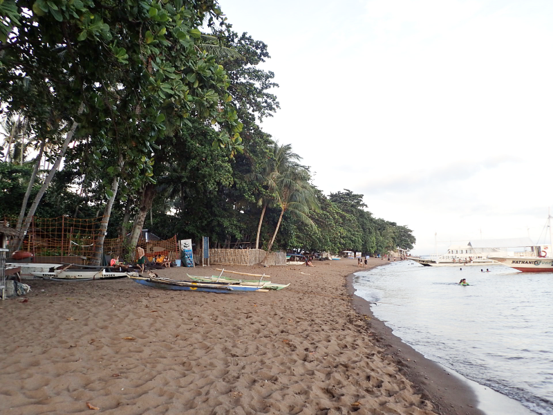 [스쿠버다이빙/펀다이빙] 필리핀여행 두마게티 다윈 _두마게티 숙소, 마부하이 두마게티 : 네이버 블로그