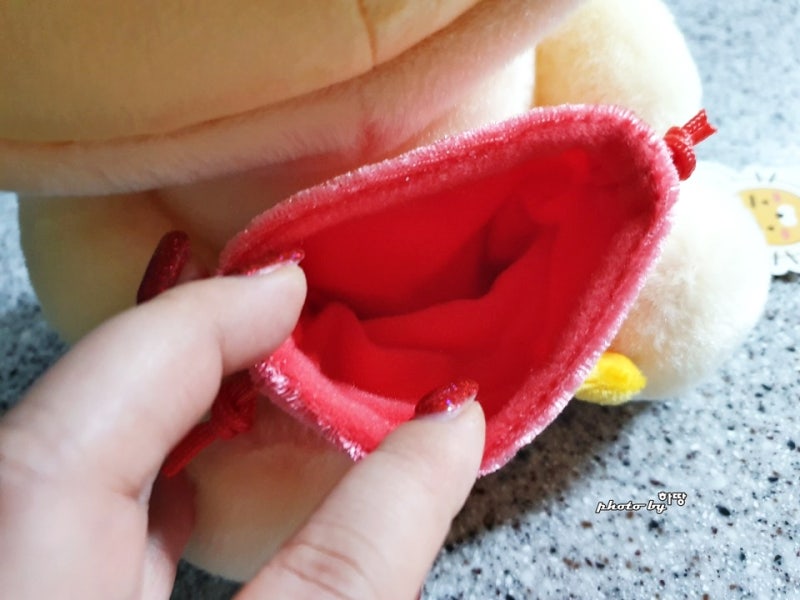 카카오프렌즈샵 치즈 복주머니 라이언 귀요미 도착. 2020년 새해 복 많이 받으세요. : 네이버 블로그