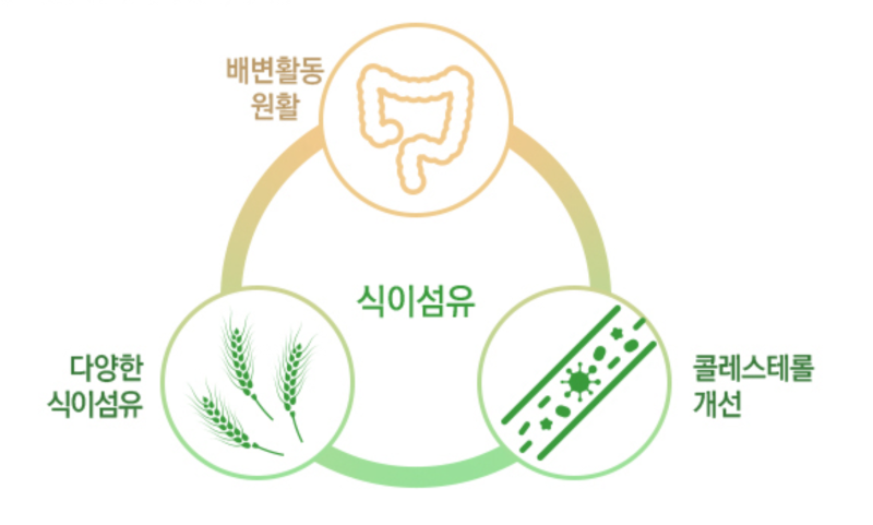 식이섬유를 꼭 먹어야 할 충분한 이유 대한사상체질협회 장석근 박사의 사상체질별 식이섬유 이야기 네이버 블로그
