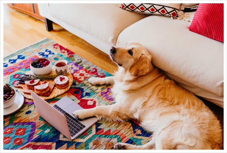 기본영어회화 - 'work like a dog?' : 네이버 블로그