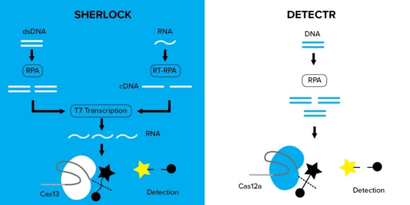 미국 FDA 최초로 면역진단키트 긴급사용승인(EUA) : Cellex, qSARS-CoV-2 IgG/IgM Rapid Test ...