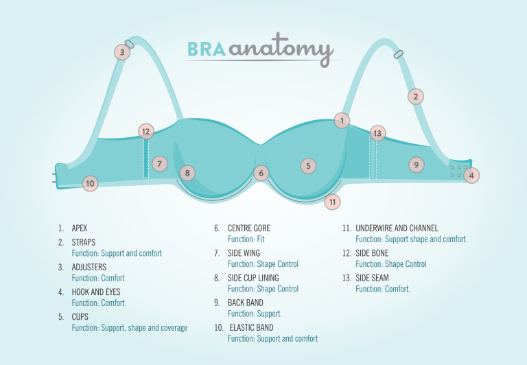 브라의 구조와 용어정리 : 네이버 블로그