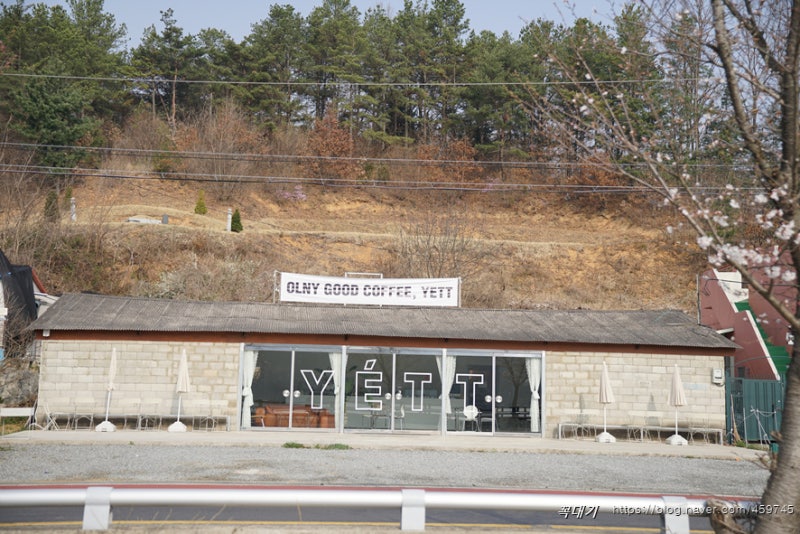 세종시 고복저수지 벚꽃 수변 데크 둘레길 트레킹 고복자연공원 네이버 블로그