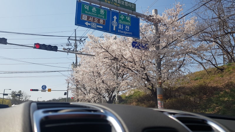 카니발 사고렌트 포르쉐 박스터 배차 후기보험대차 사고대차 네이버 블로그