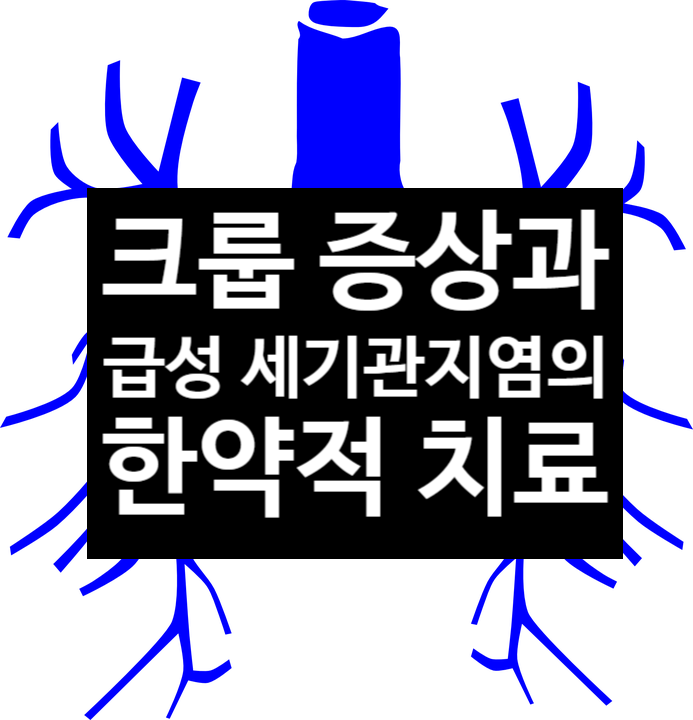 아뵤 막아내자 아동입원 세기관지염 Acute Bronchiolitis 크룹 Croup 한방 약초 네이버 블로그