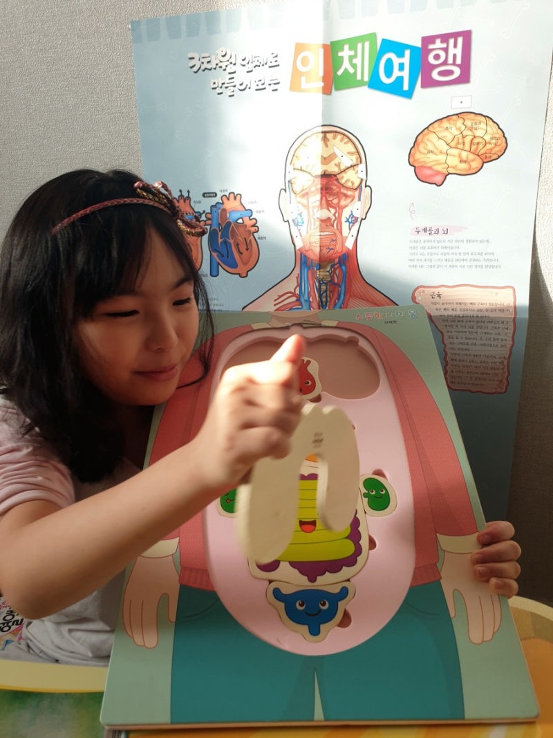 뭉치토론왕 사회전집 29번 우리 몸을 흐르는 피와 혈액형 읽기 네이버 블로그