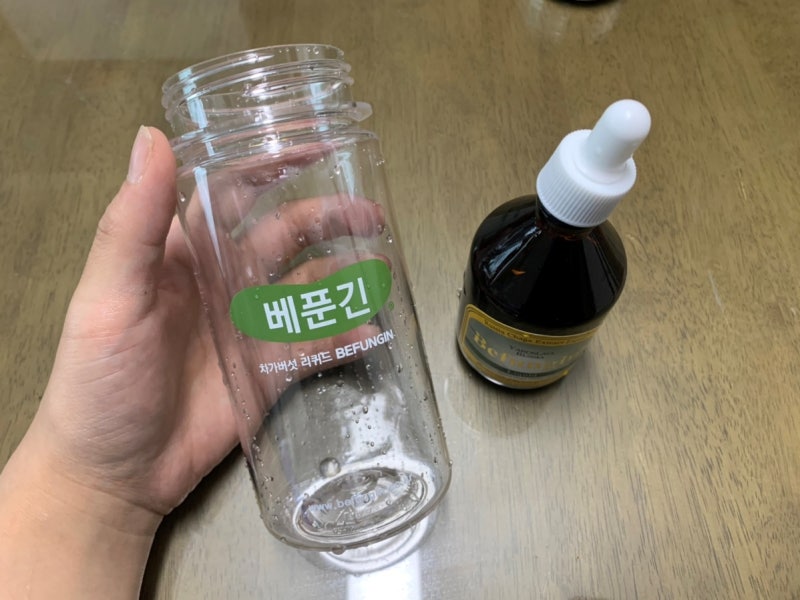 [BEFUNGIN] 면역력 높이는 차 차가버섯액기스로! : 네이버 블로그