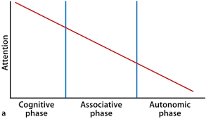 운동기술 학습 단계에 대한 이론, Fitts와 Posner의 3단계 모델(큐잉, 피드백에 대한 고찰) : 네이버 블로그