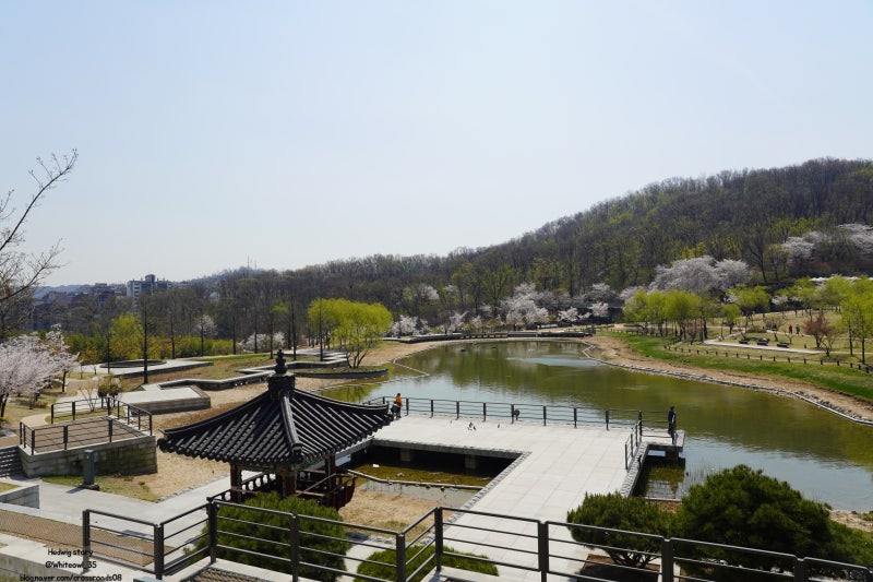 북서울꿈의숲 벚꽃 공원 산책하기 네이버 블로그
