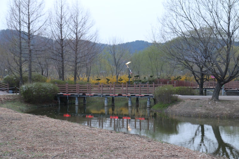 논산 탑정호 수변생태공원 소풍길 국내최장 출렁다리 곧 개장 네이버 블로그