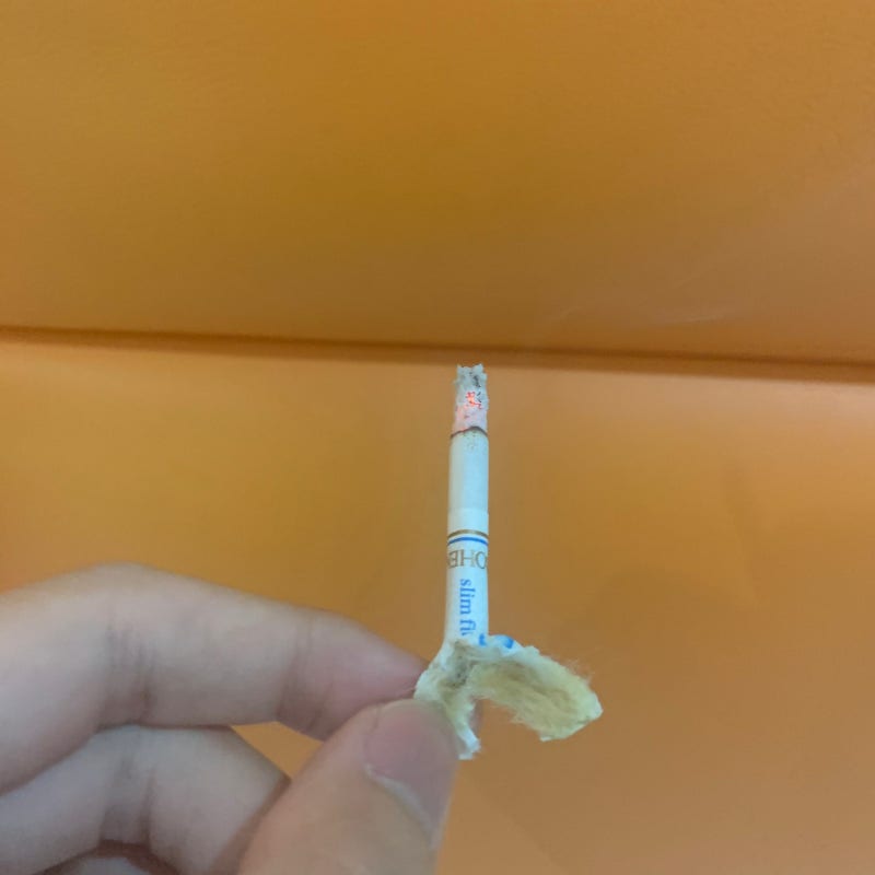 29연초담배 보헴시가 슬림핏 화이트 생명과 맞바꾼 리뷰 네이버 블로그