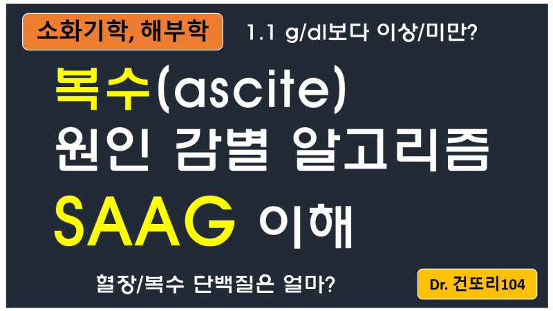 복수(ascite) 원인 감별: SAAG(serum ascites albumin gradient, 혈장-복수 알부민 차 ...