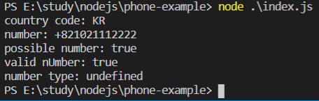 Nodejs(노드 js) 전화번호로 국가 코드 알아내기(libphonenumber-js) : 네이버 블로그