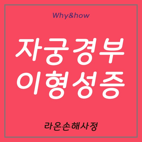 자궁경부 이형성증n87 Cin2 Cin3 제자리암 상피내암 암진단 보험금 제대로 지급받기 네이버 블로그