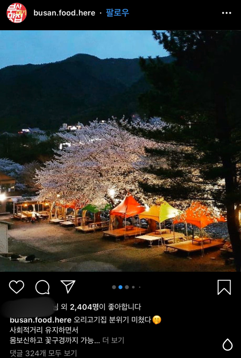 울산 언양 벚꽃 맛집 작천정 맛집 명성종가집 네이버 블로그
