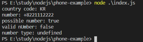 Nodejs(노드 js) 전화번호로 국가 코드 알아내기(libphonenumber-js) : 네이버 블로그