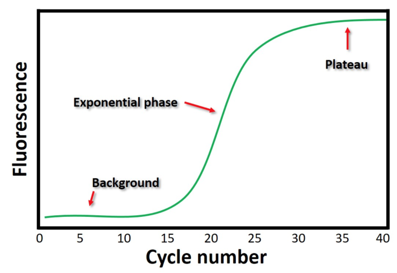 PCR & Ct value & nested PCR : 네이버 블로그
