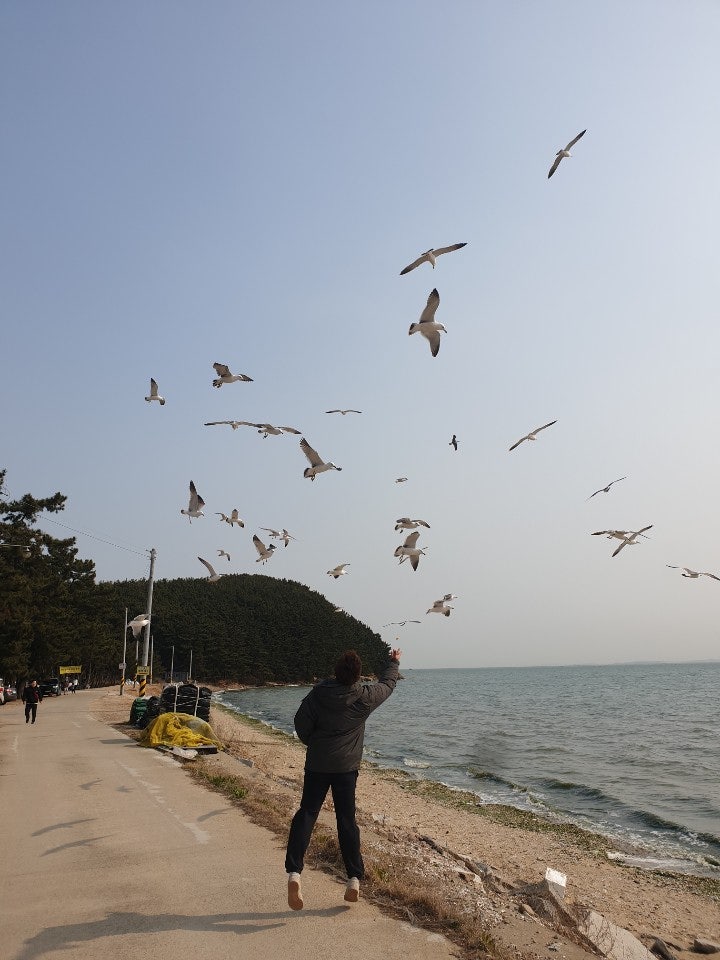 대부도 나라펜션 캠핑장 나혼자산다 안보현 캠핑장 네이버 블로그