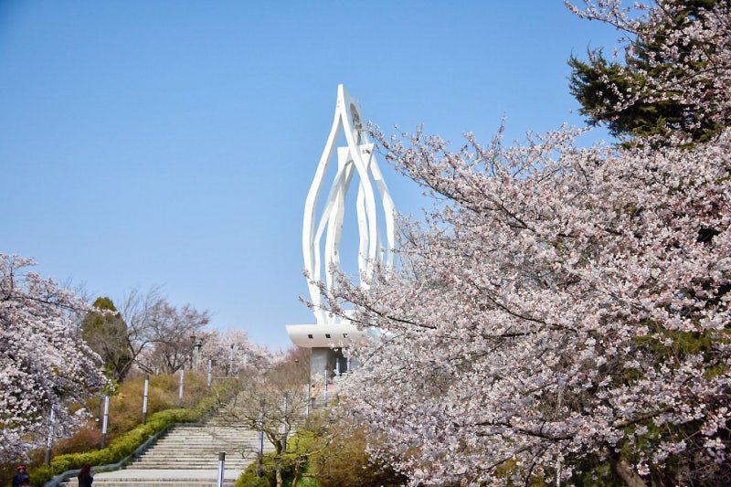 군산 여행 해망굴 지나 월명공원 벚꽃 절정으로~ 네이버 블로그
