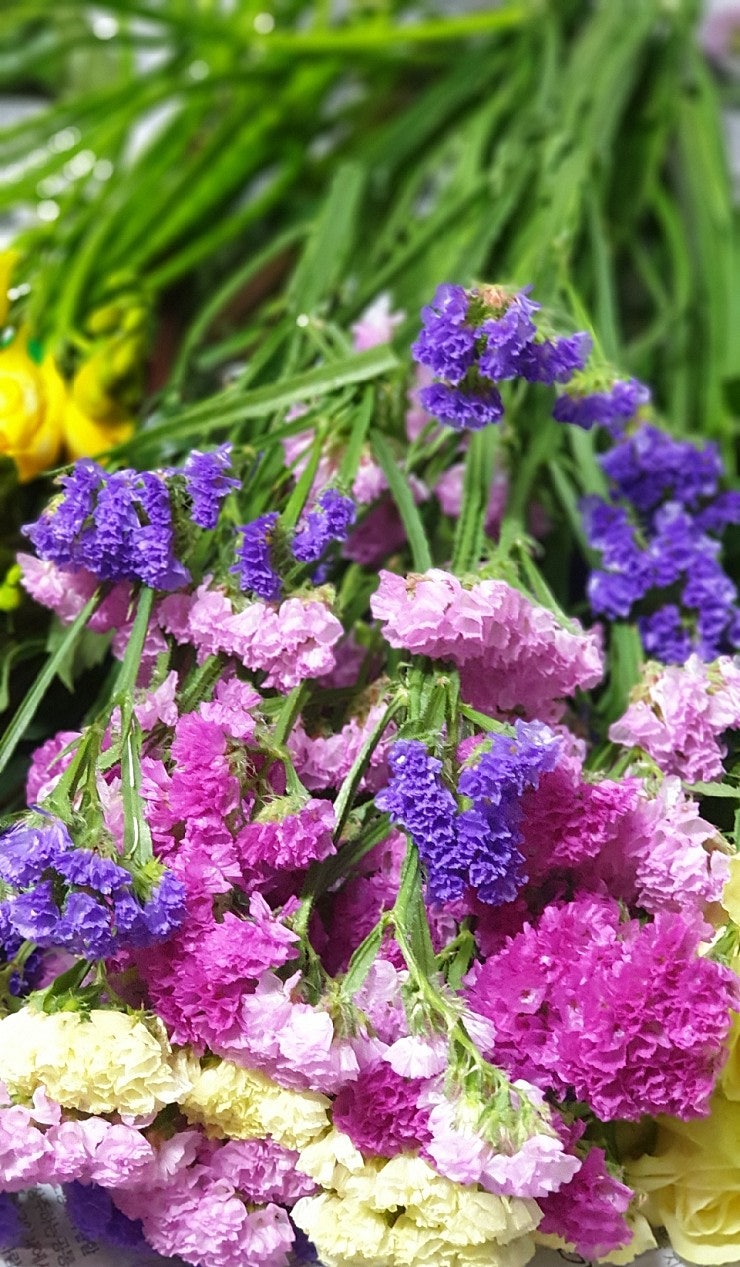 [4]널 알고 싶어! 스타티스 : 네이버 블로그