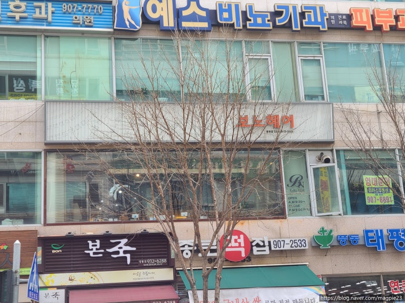 풍동미용실 보노헤어 헤어스파 클리닉 네이버 블로그