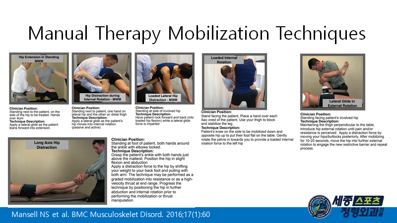 대퇴충돌증후군의 비수술적 치료는? (FAI, Warwick Consensus Statement) : 네이버 블로그