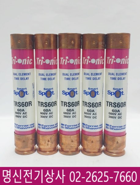 FERRAZ SHAWMUT MERSEN TRSR-Series FUSE 600VAC CLASS RK5 TIME DELAY FLSR ...