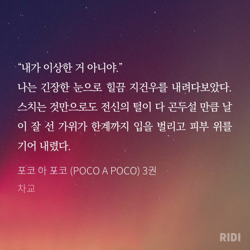 [BL] 포코 아 포코(poco a poco) : 네이버 블로그
