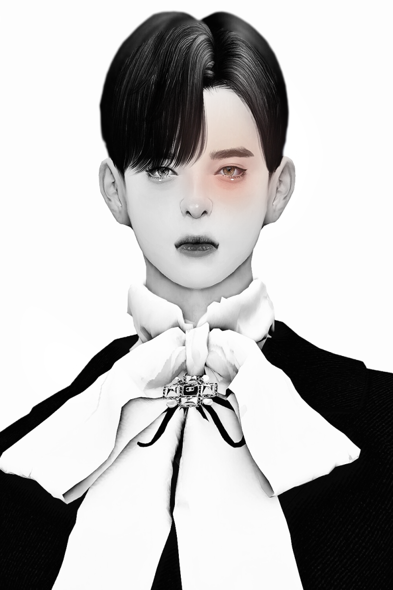 IDOL Basic : 네이버 블로그