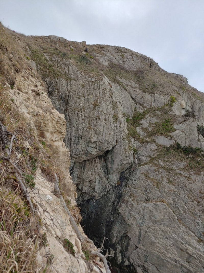 절벽 #잔대와 효능 : 네이버 블로그