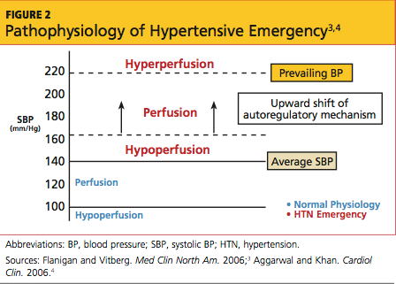 고혈압 – hypertensive emergency and urgency : 네이버 블로그