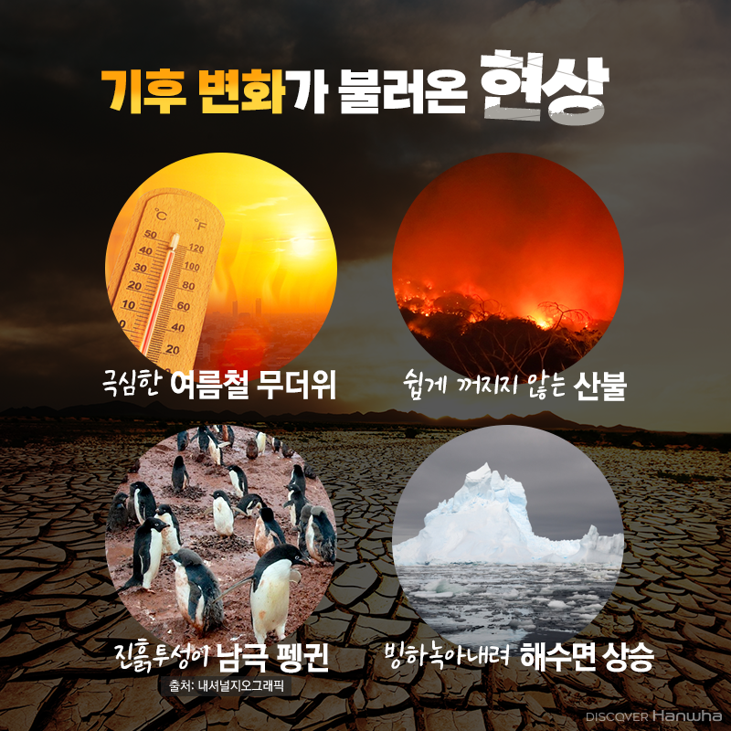 스위스 스키장에 인공 눈이 뿌려졌다 오염되는 지구 태양광 에너지와 친환경 제품으로 환경을 지키는 한화의 노력 네이버 블로그