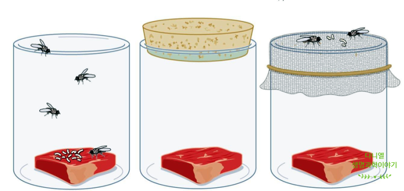 자연발생설과 생물속생설 : 네이버 블로그