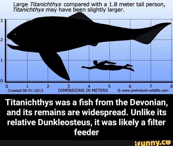티타니크티스(Titanichthys)-여과섭식을 하는 판피어류 : 네이버 블로그