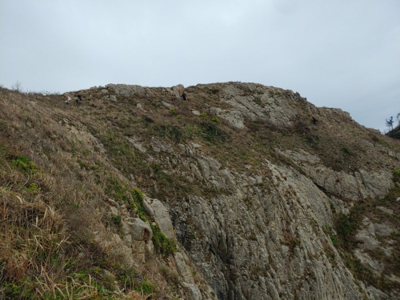 절벽 #잔대와 효능 : 네이버 블로그