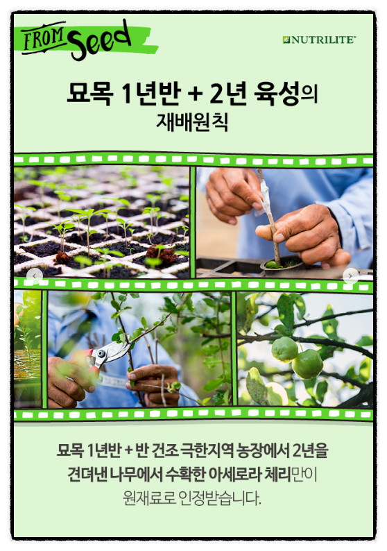 암웨이 비타민c 항산화 면역력 스트레스 바이러스 비타민 아세로라체리 아스코르빈산 면역 콜라겐 피부노화 피부미용건강 네이버 블로그