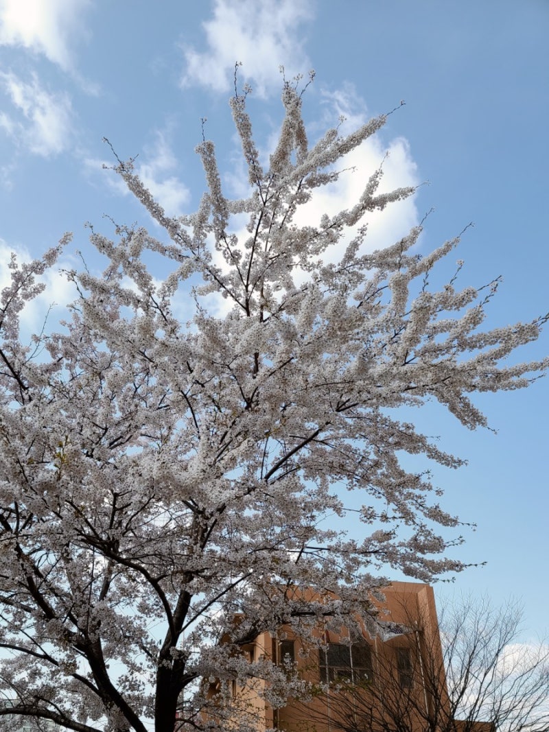 고마운 인연 소형이사원룸이사용달이사투룸이사지방이사서울소형이사서울원룸이사인천원룸이사인천소형이사인천에서진도이사