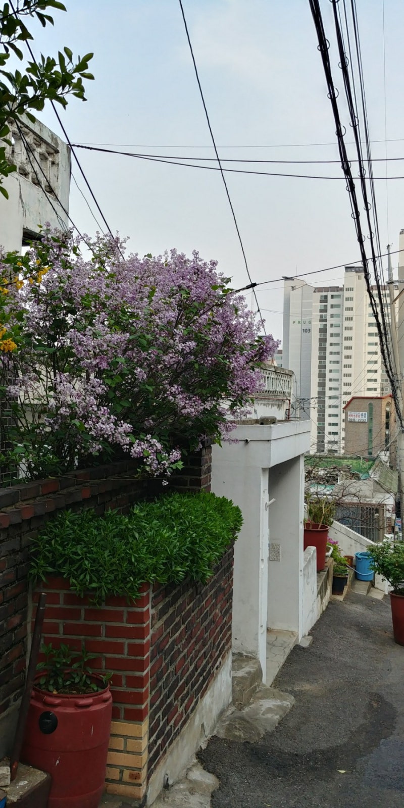 광명뉴타운 11구역 조합원분양신청 준비 및 자산관리상담~ 네이버 블로그