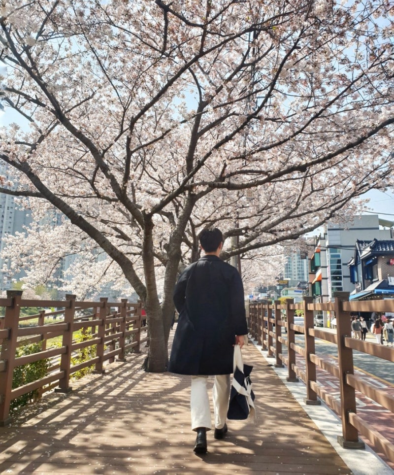 히야 데일리 175 봄가을 남자라면 하나 쯤 남자 트렌치코트 And 자켓 코디 네이버 블로그