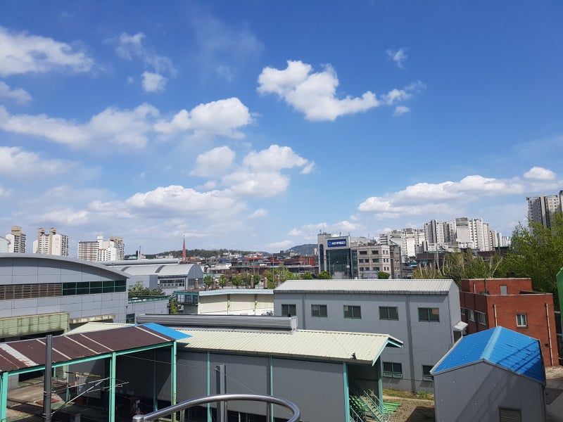 청량리역세권 사전 임장 그리고 신답극동아파트 서집달 카페 칼럼 수록 네이버 블로그