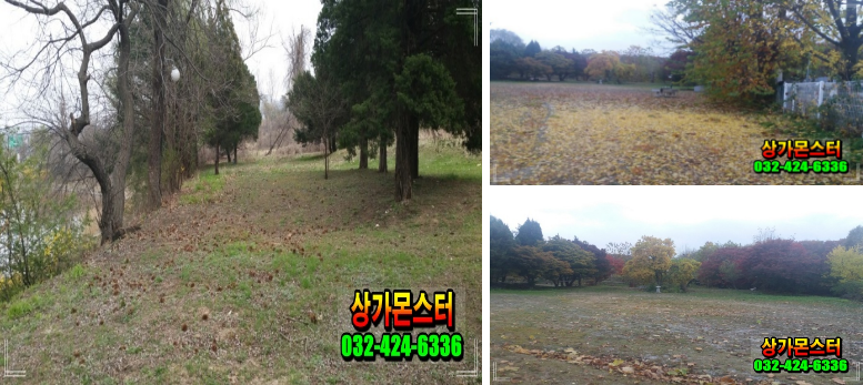 인천가든임대경기도 양주시 의정부 진입 도로변 무권리 단독 애견브런치 카페레스토랑 네이버 블로그